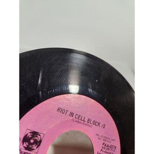 Commander Cody and His Lost Planet Airmen 45 RPM Record Riot in Cell ...