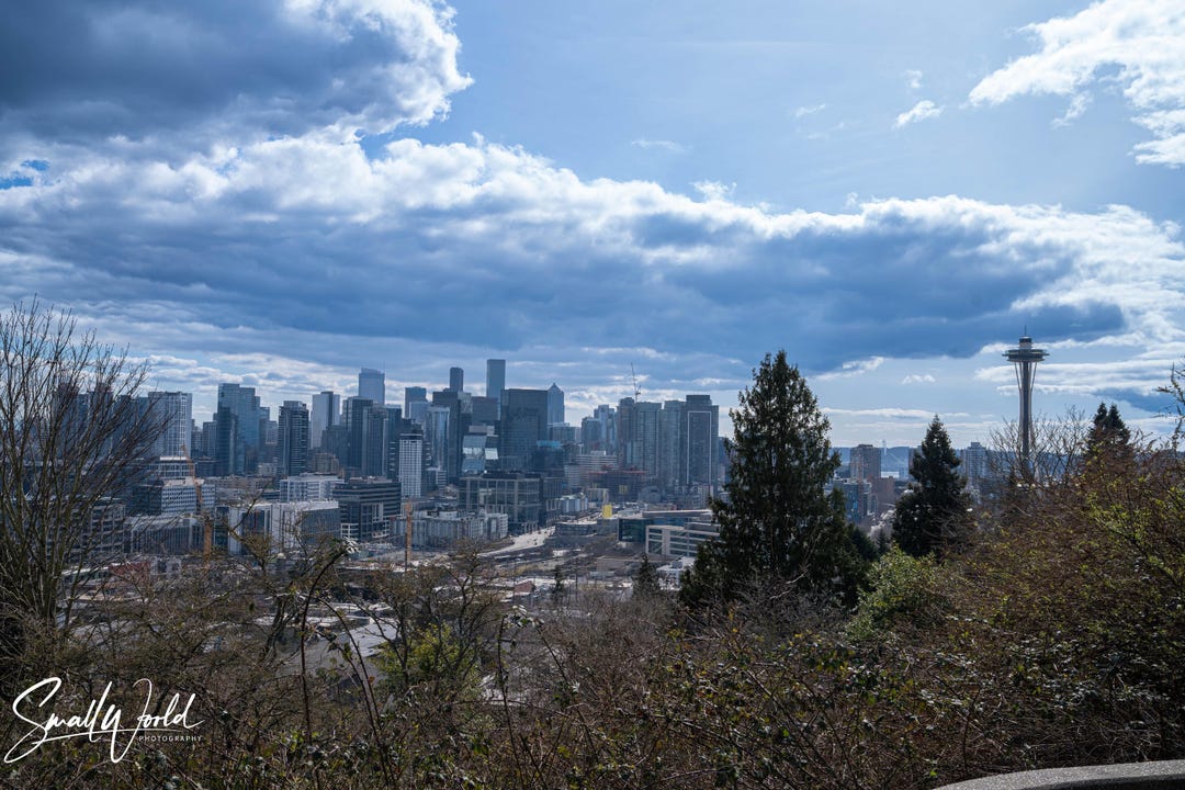 Seattle Skyline on a Cloudy Day - Etsy