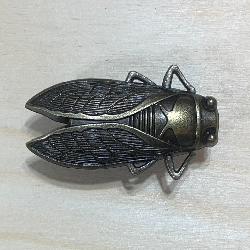 Insect Drawer Knobs in Brass Cicada Cabinet Knobs Insect - Etsy