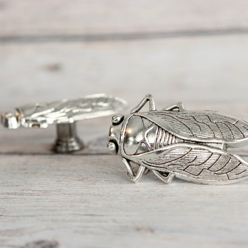 Insect Drawer Knobs - Etsy