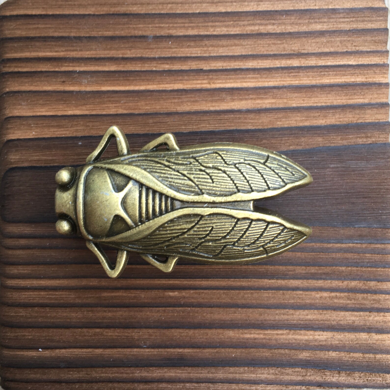Insect Drawer Knobs in Brass Cicada Cabinet Knobs Insect | Etsy Canada