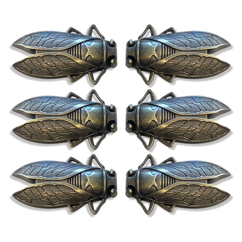 Bug Drawer Knobs - Etsy