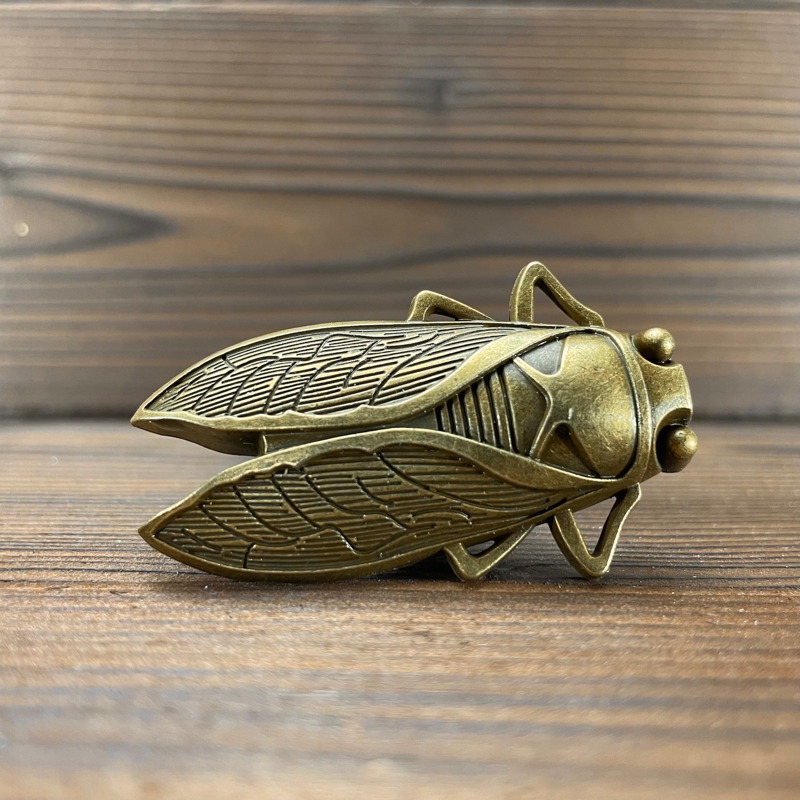 Insect Drawer Knobs in Brass Cicada Cabinet Knobs Insect - Etsy