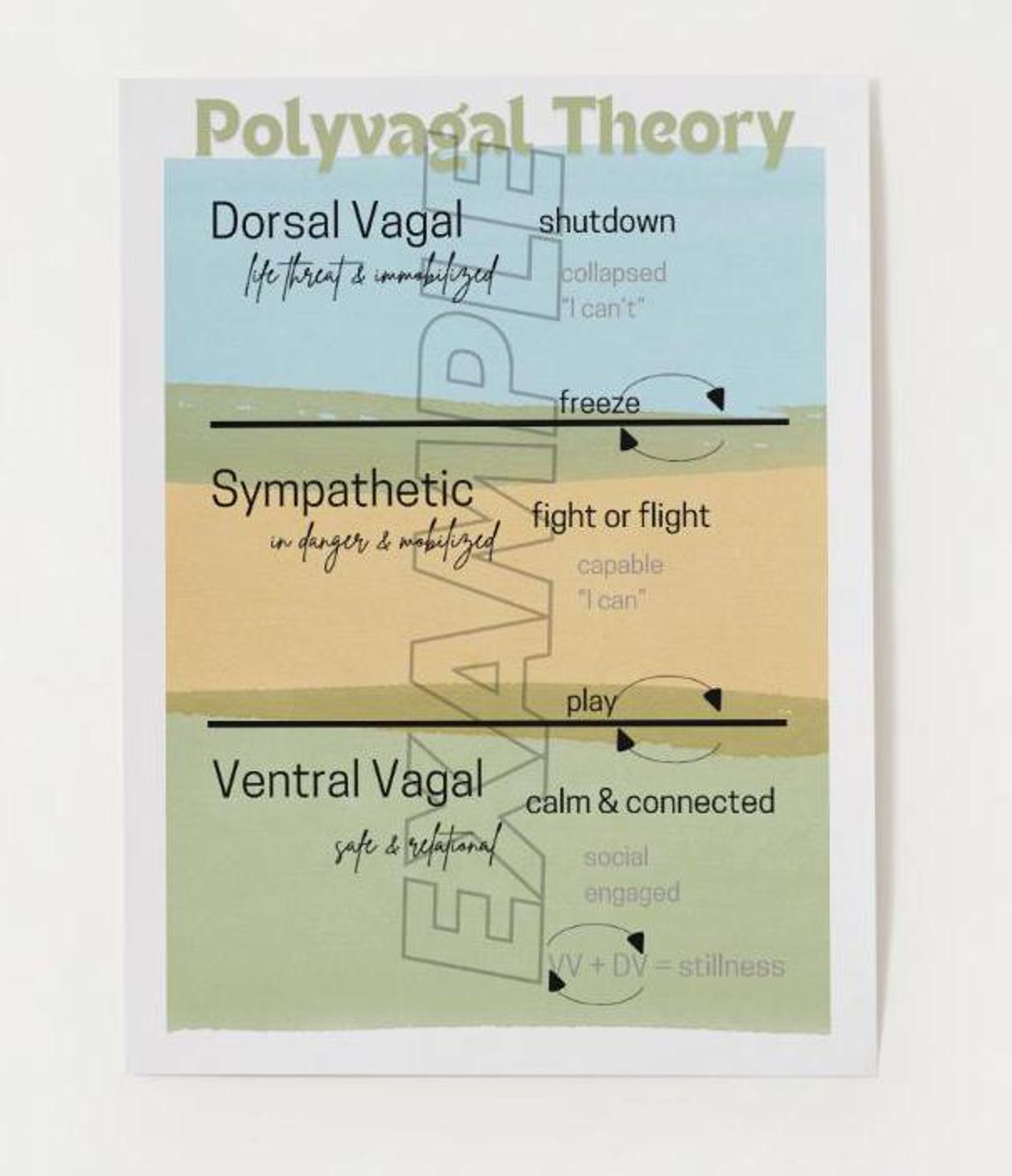 Polyvagal Theory Poster (simple) - Polyvagal Theory - Somatic ...
