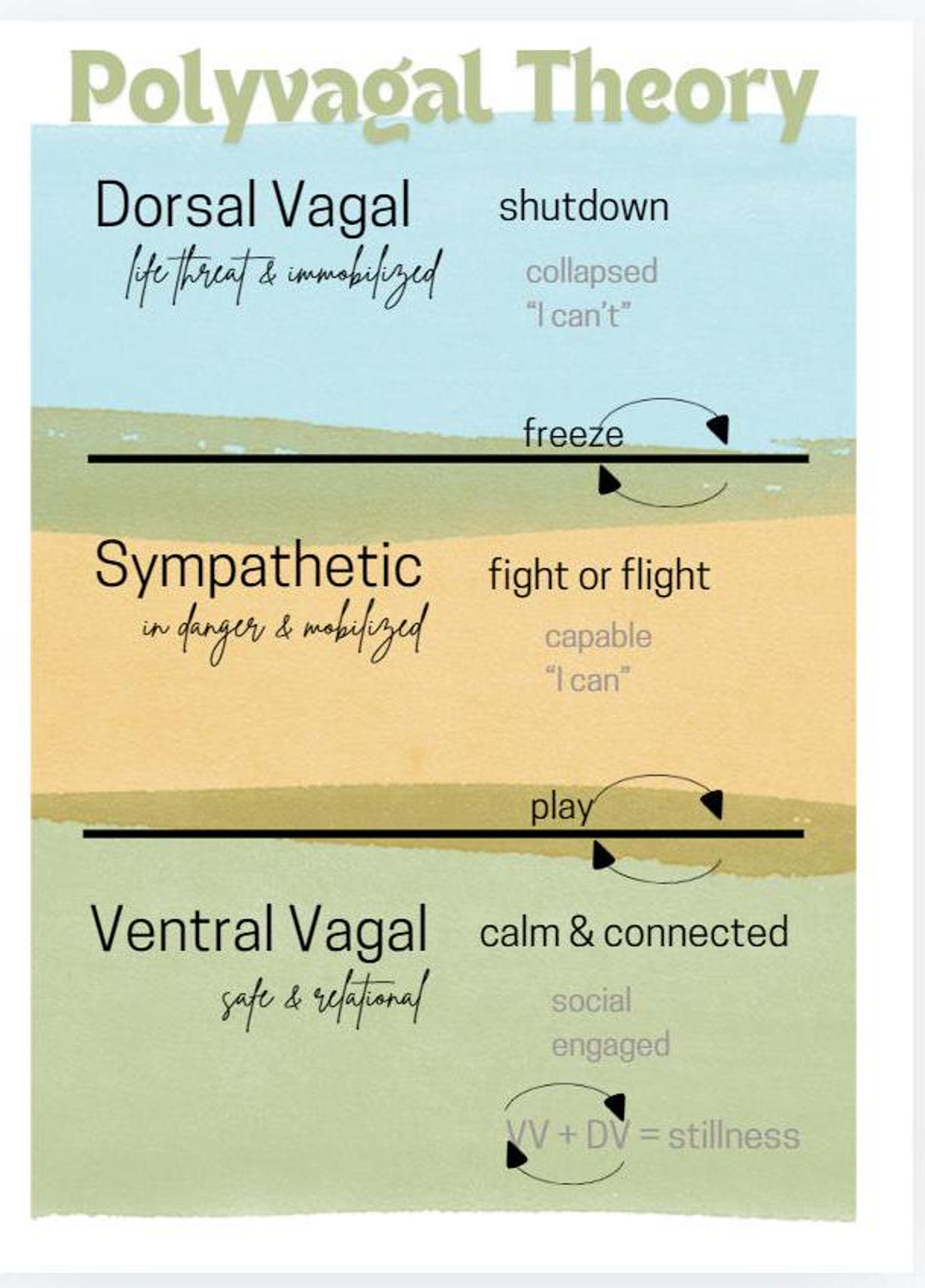 Polyvagal Theory Poster (simple) - Polyvagal Theory - Somatic Experiencing Educational Tool for ...