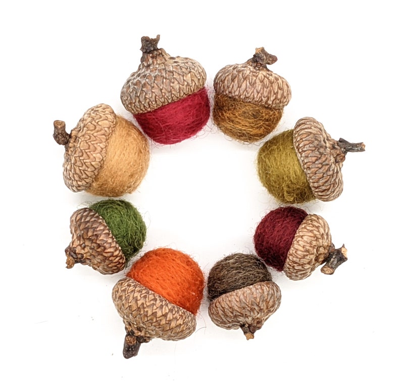 Wool Felted Acorns OR Acorn Ornaments in Fall Colors Set of 8 - Etsy