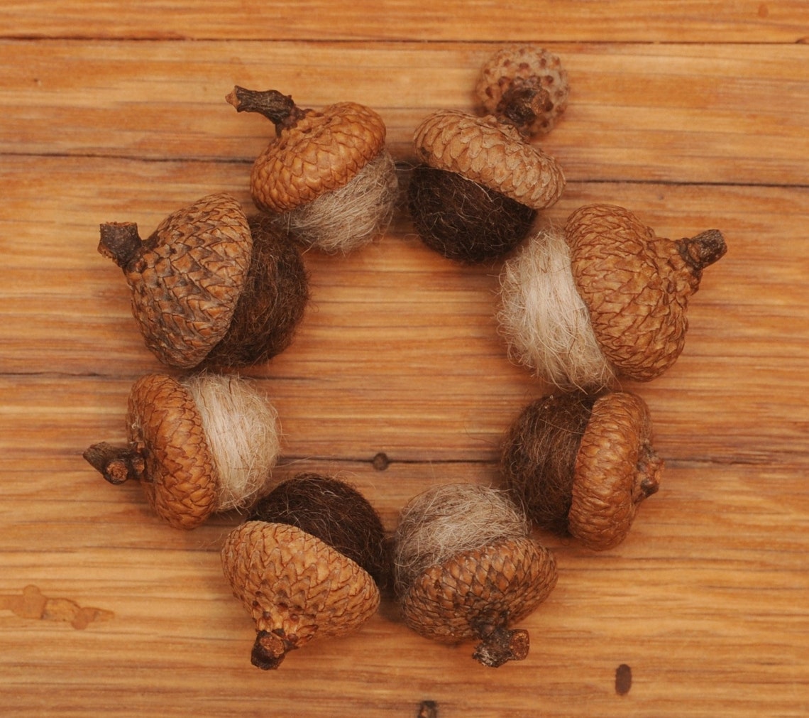 Felted Wool Acorns Natural colored or Acorn Ornaments Set of | Etsy
