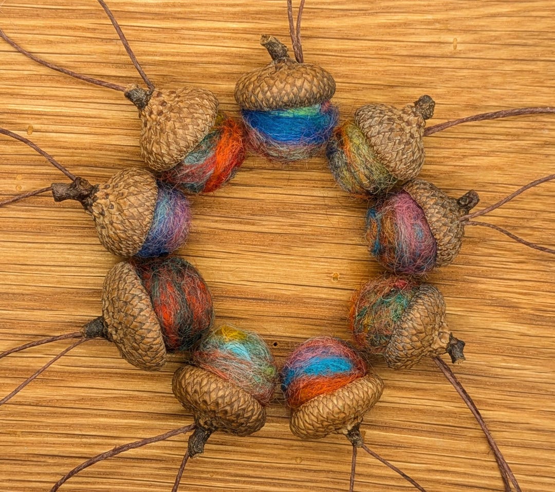 Tie Dyed Rainbow Colored Felted Acorns or Acorn Ornaments - Etsy