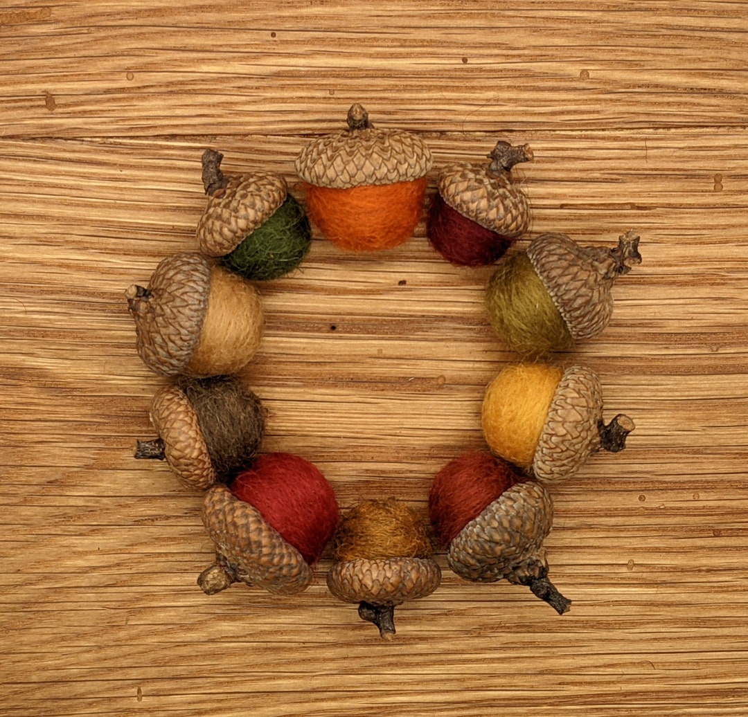 Felted Acorns OR Acorn Ornaments in Fall Colors, Set of 10 Wool Acorns ...