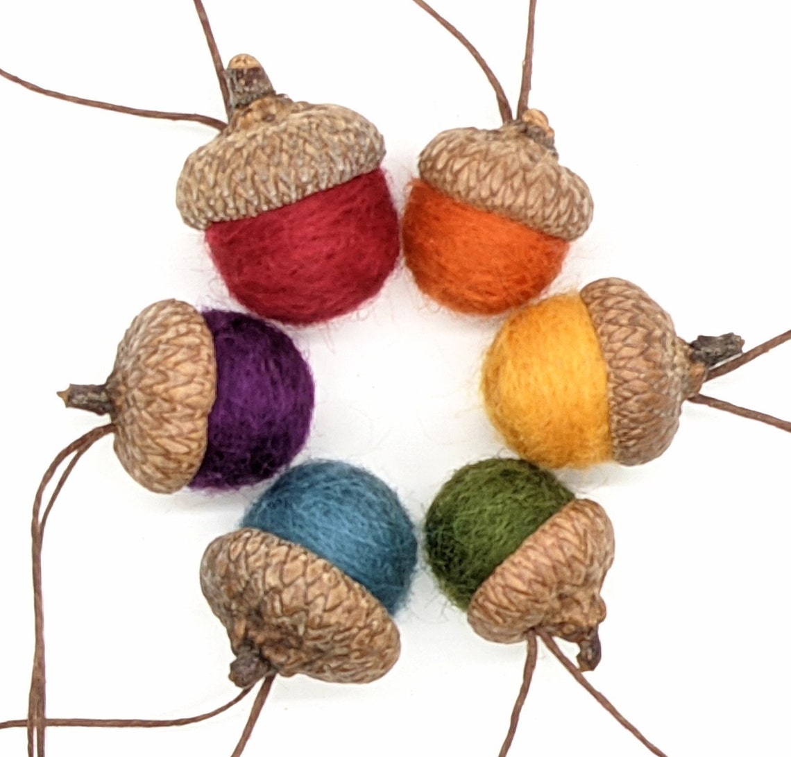 Rainbow Wool Felted Acorns, Set of 6, Also Available as Ornaments - Etsy