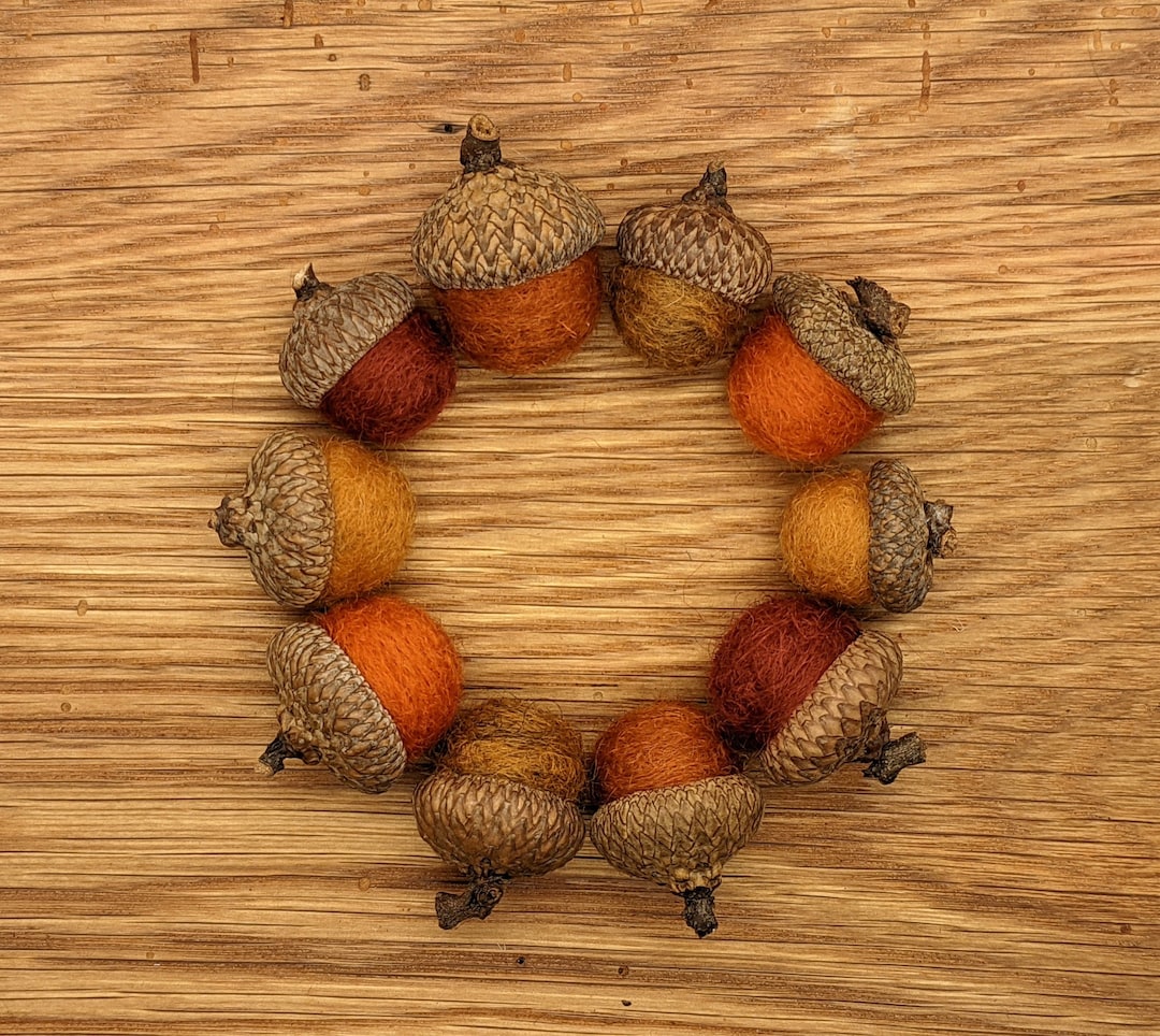Orange Felted Wool Acorns or Acorn Ornaments, Set of 10 - Etsy