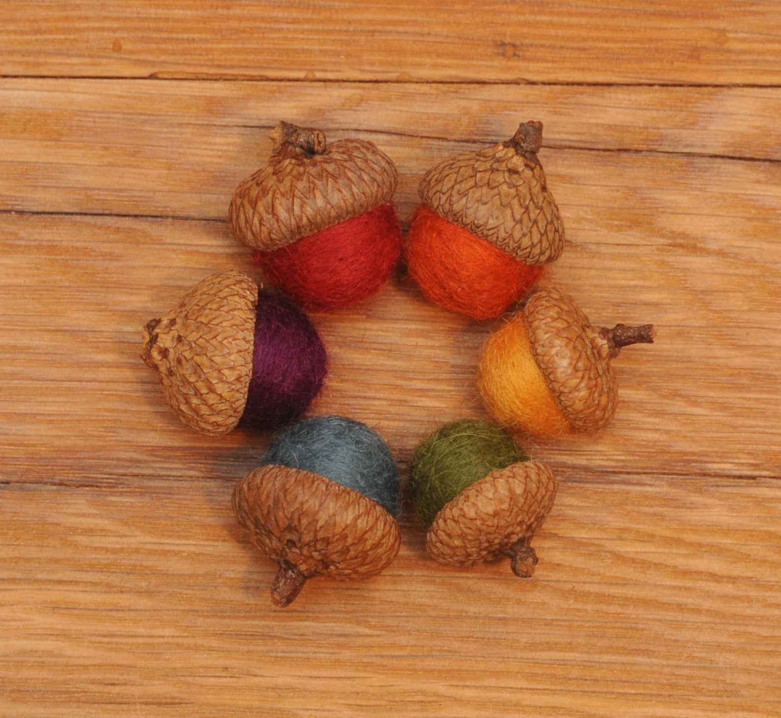 Rainbow Wool Felted Acorns Set of 6 Also Available as - Etsy