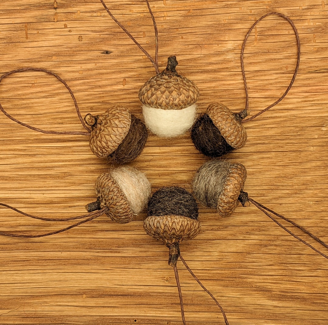 Felted Wool Acorns or Acorn Ornaments, Natural Colors - Etsy