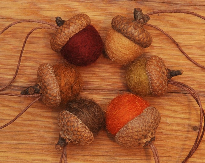 Hand Painted Natural Jumbo Acorns | Dot Art | Thanksgiving Decor | Fall ...