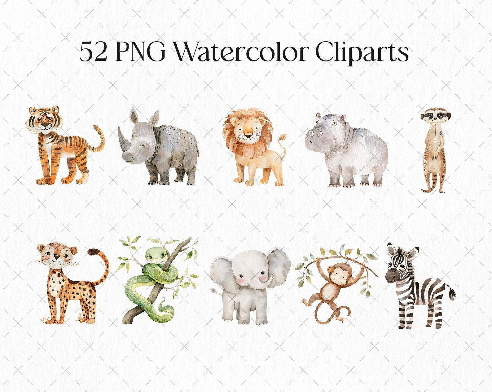 Safari Animals Clipart, Safari Jungle Clipart Bundle, Safari Explorer ...