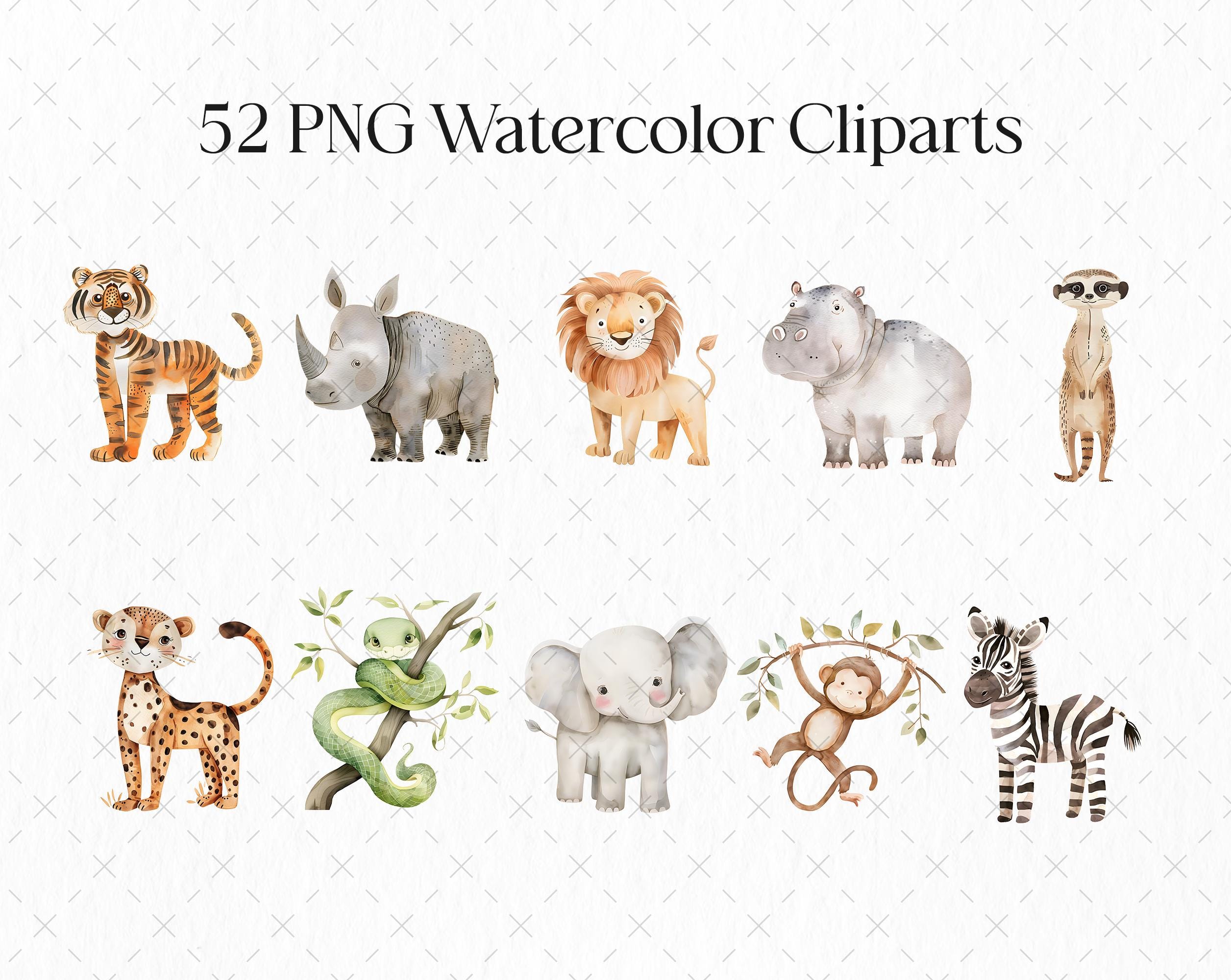 Safari Animals Clipart, Safari Jungle Clipart Bundle, Safari Explorer ...