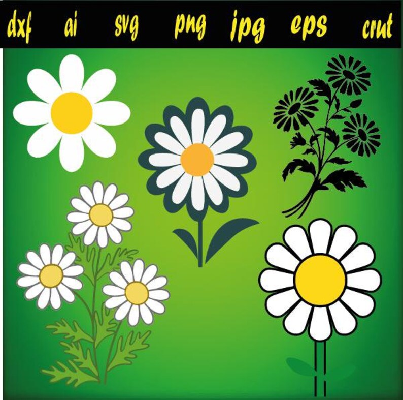 Daisy SVG Bundle, Daisy Flower Svg Files for Cricut, Clipart Cut Files ...