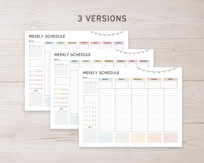 Editable Weekly Schedule Planner Undated Daily Hourly Planner Printable ...