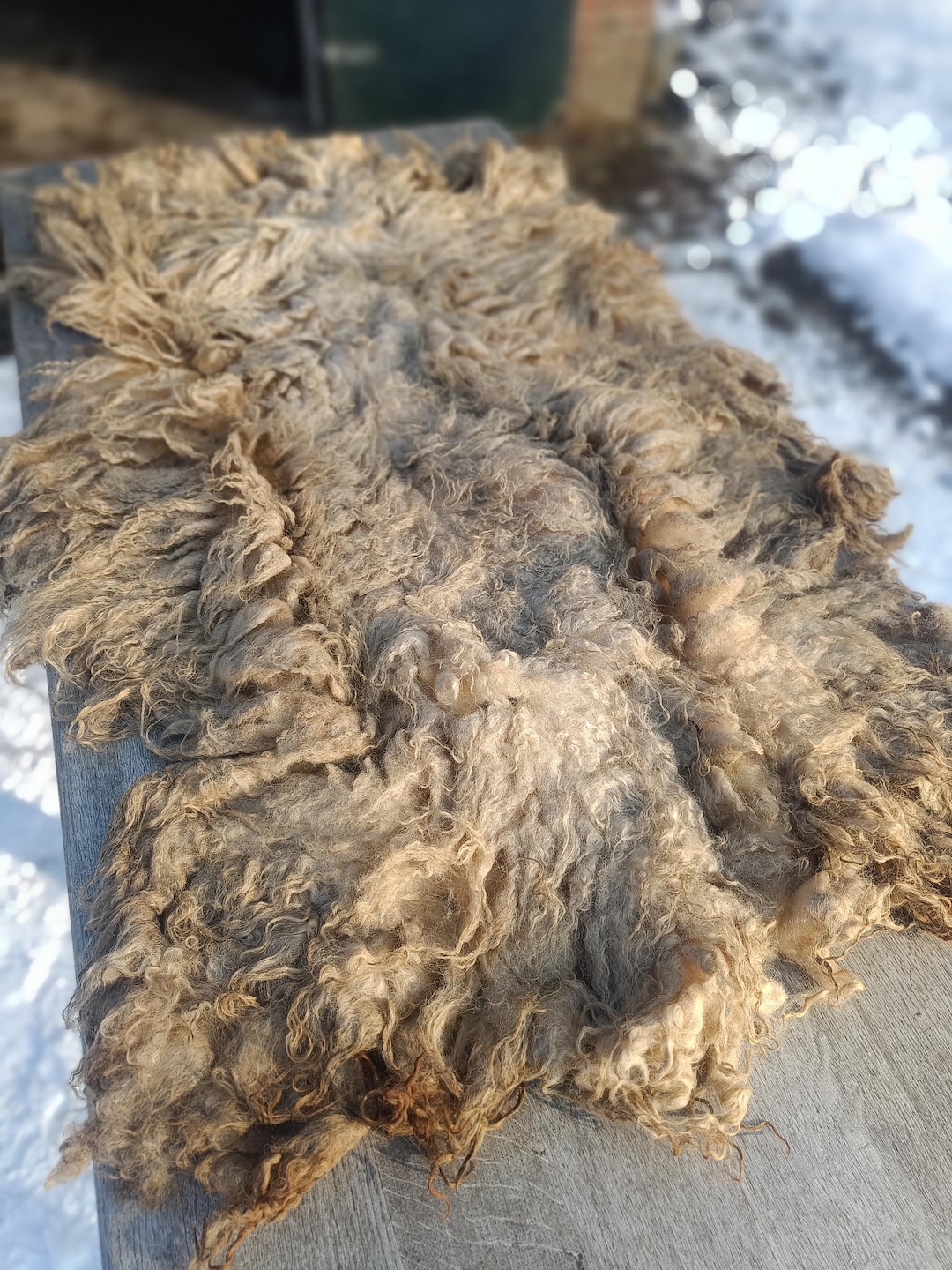 Hungarian Racka Raw Wool Felting Fleece 140 X 75 Cm - Etsy