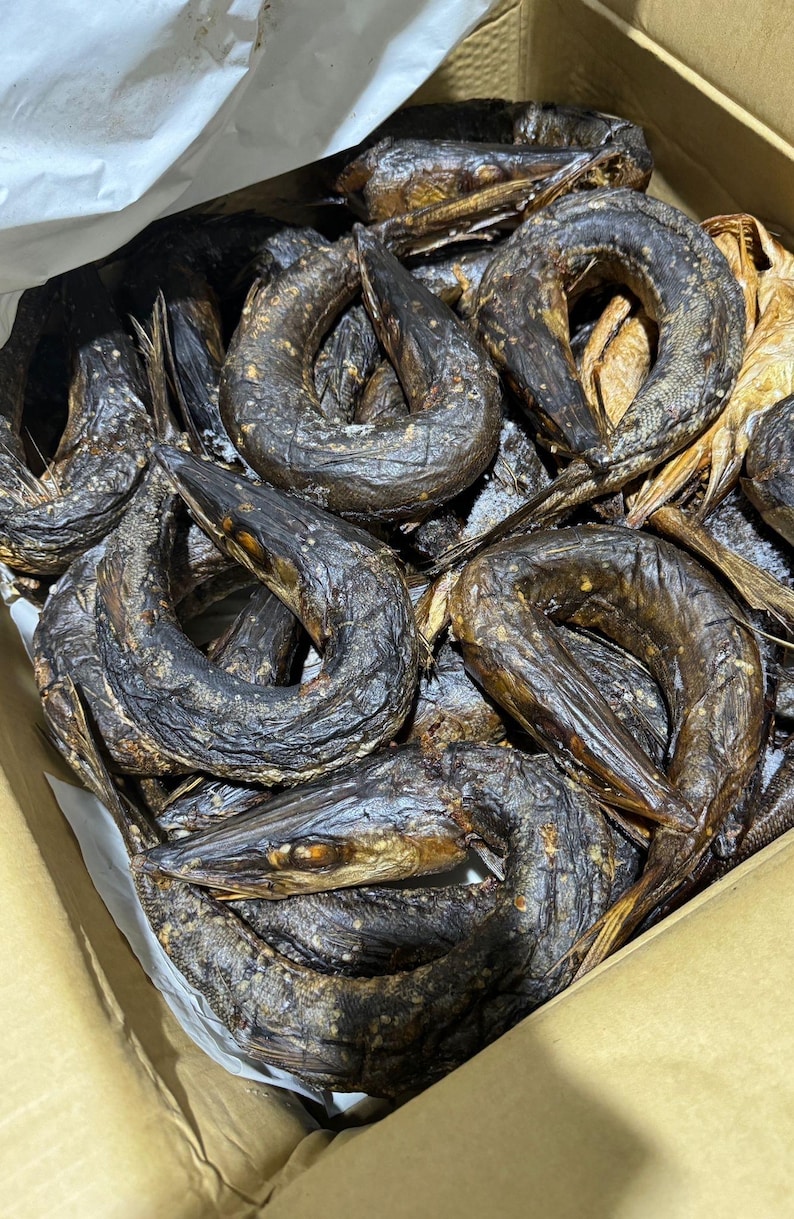 Authentic African Dried Smoked Kini Fish- From Ghana, West Africa. - Etsy