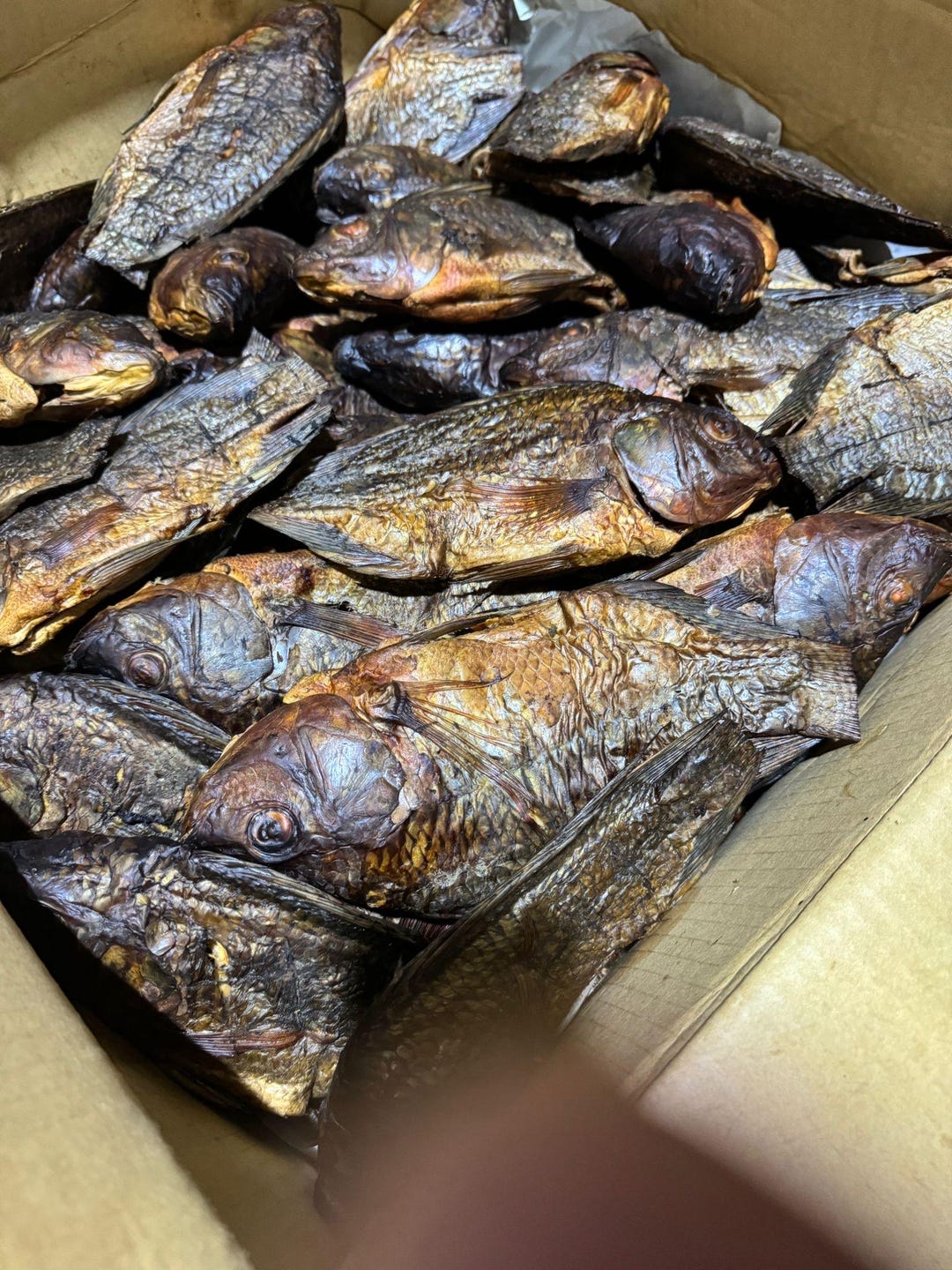 African Dried Smoked Tilapia Fish- From Ghana, West Africa-3lb - Etsy