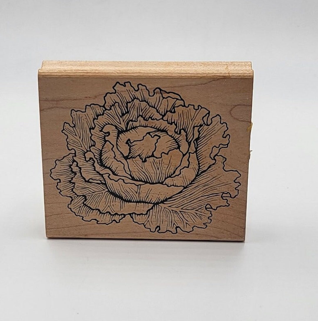 Cabbage Vegetable Rubber Stamp Plant Food Salad Organic Nature - Etsy