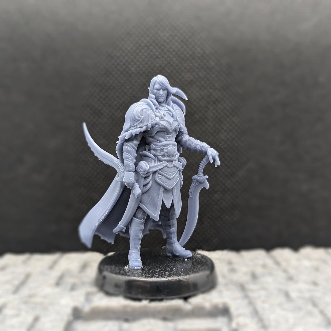 Levin, elfo alto guerrero con espada larga: Dungeons and Dragons Mini ...