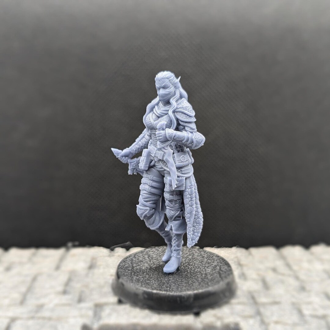 Masked Female Elf Rogue, Daggers: D&D, Pathfinder, Frostgrave, 3D Resin ...