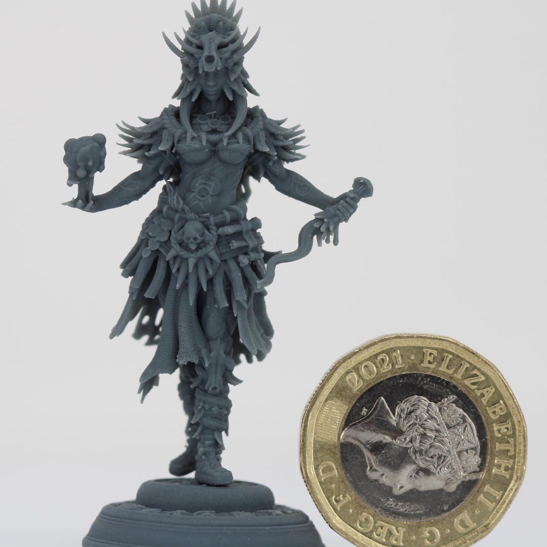 Driga the Shaman: 3D Resin Miniature for D&D, Pathfinder (32mm/75mm) - Etsy