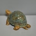 Ceramic Box Turtle "on My Way" - Etsy