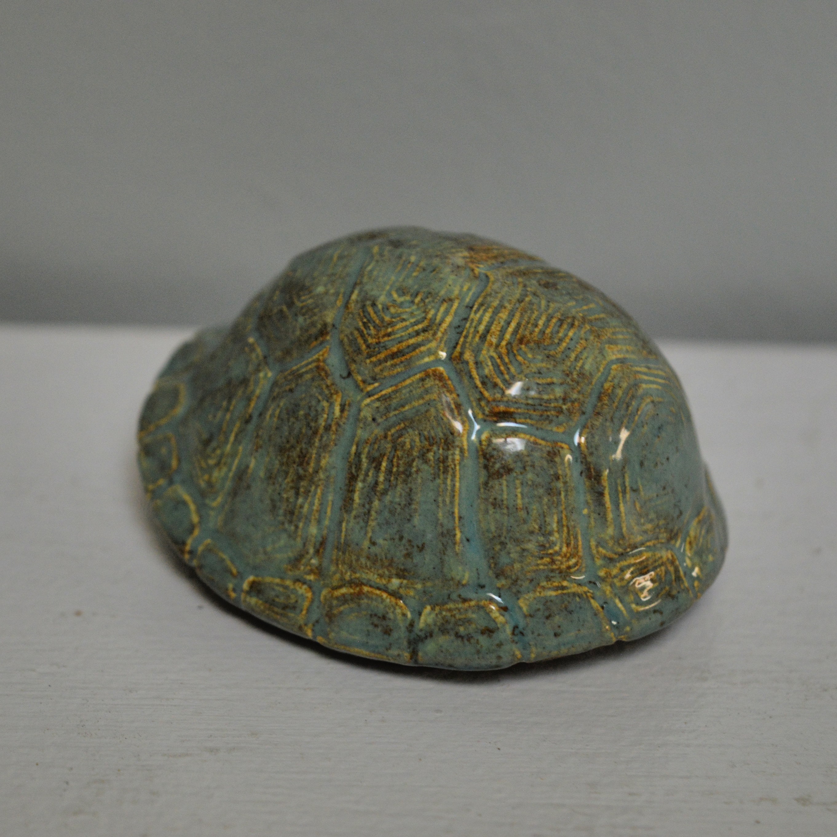 Ceramic Box Turtle "Home" — GrapeVine Ceramics