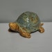 Ceramic Box Turtle "on My Way" - Etsy