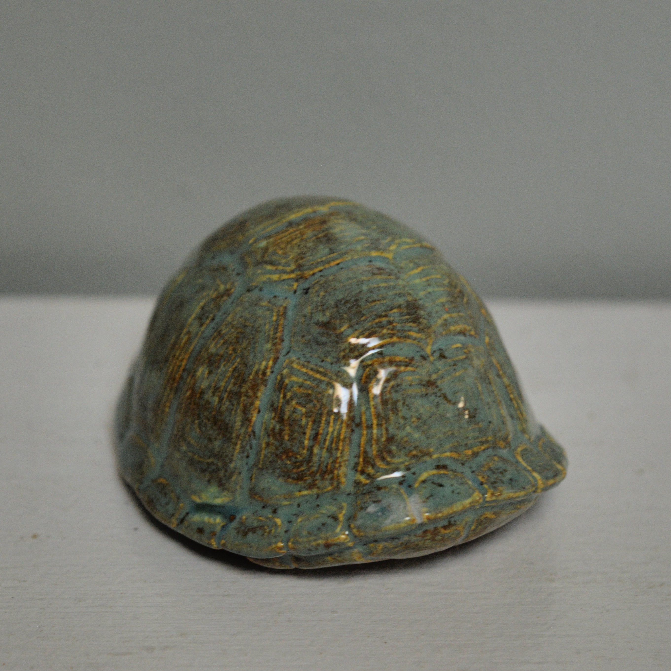 Ceramic Box Turtle "Home" — GrapeVine Ceramics