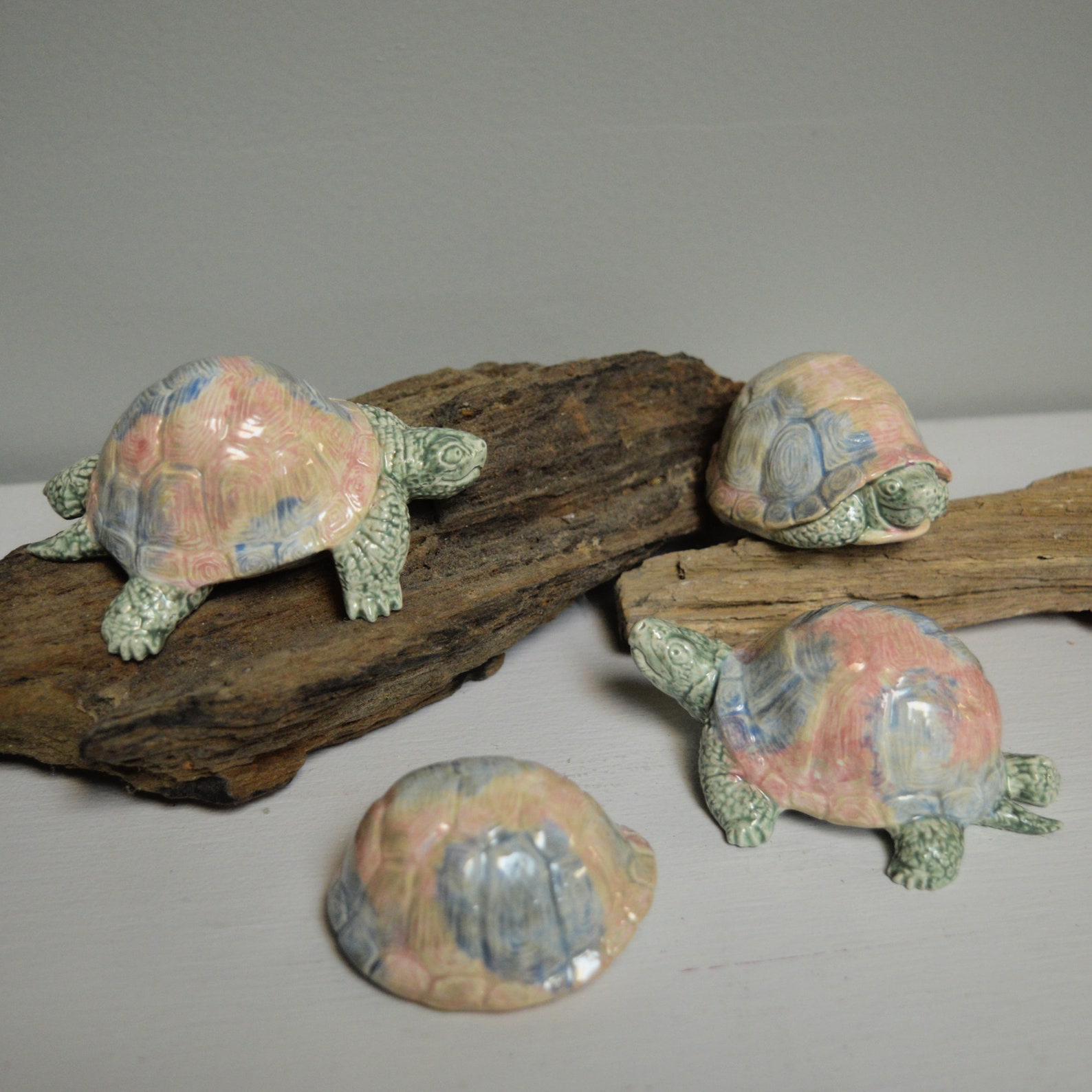 Ceramic Box Turtle almost Home - Etsy