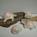 Ceramic Box Turtle almost Home - Etsy