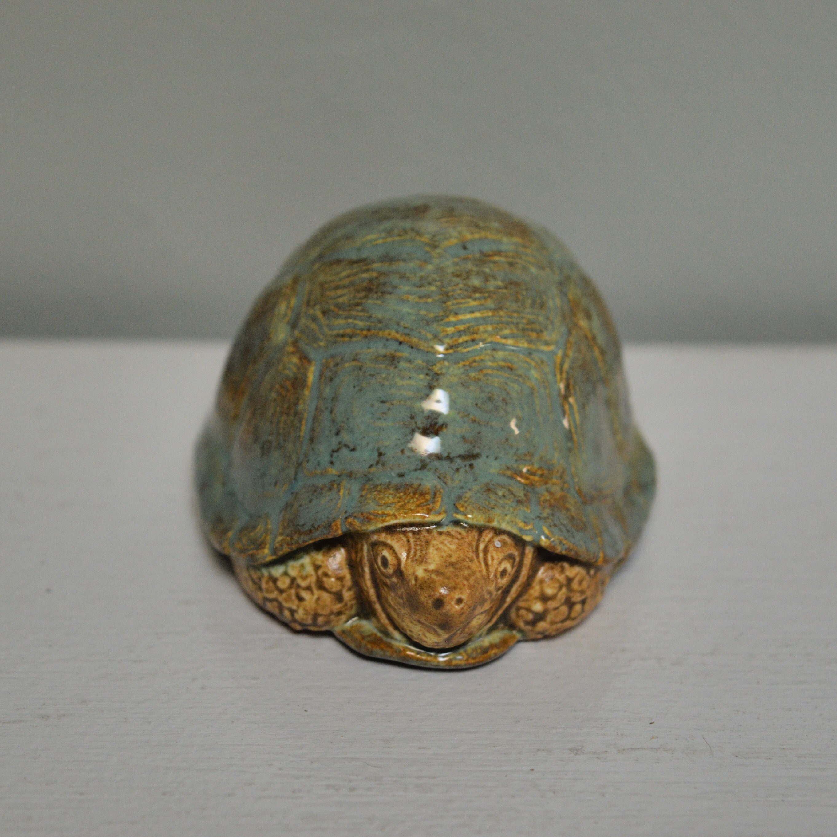 Ceramic Box Turtle Taking a Break | Etsy