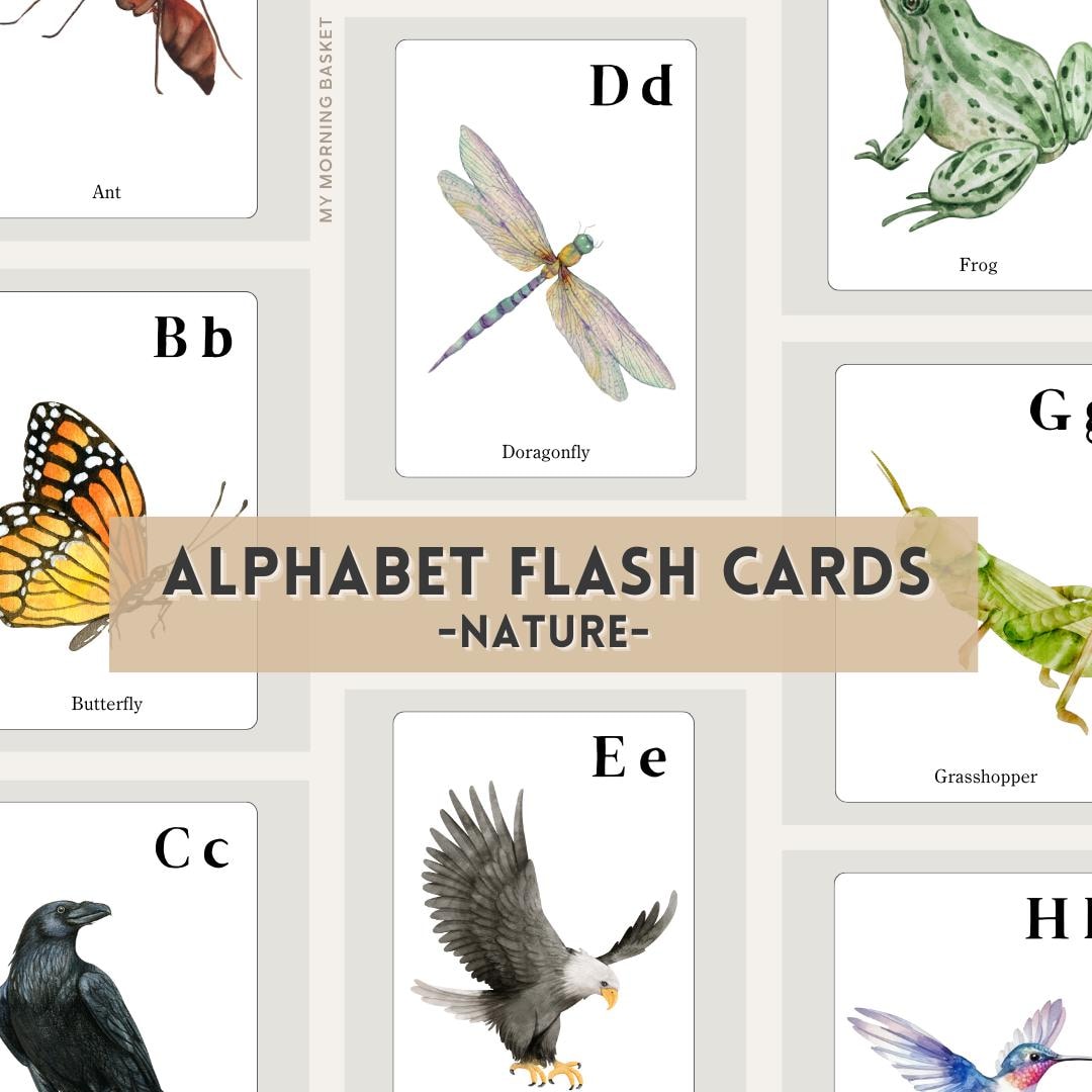 Nature ABC Card | Printable Alphabet Cards | Montessori Education ...