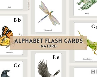 Fruits ABC Card Printable Alphabet Flash Cards Montessori Education ...