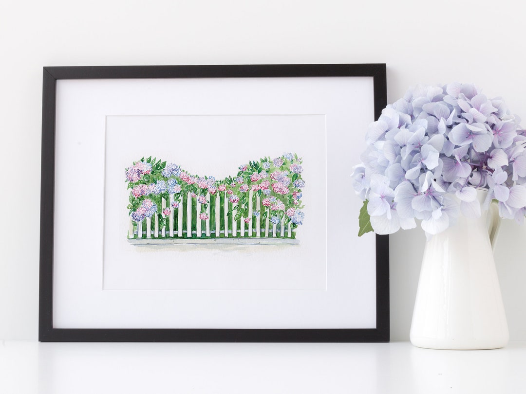 Hydrangea Picket Fence - Watercolor Painting - Nantucket - Cape Cod ...