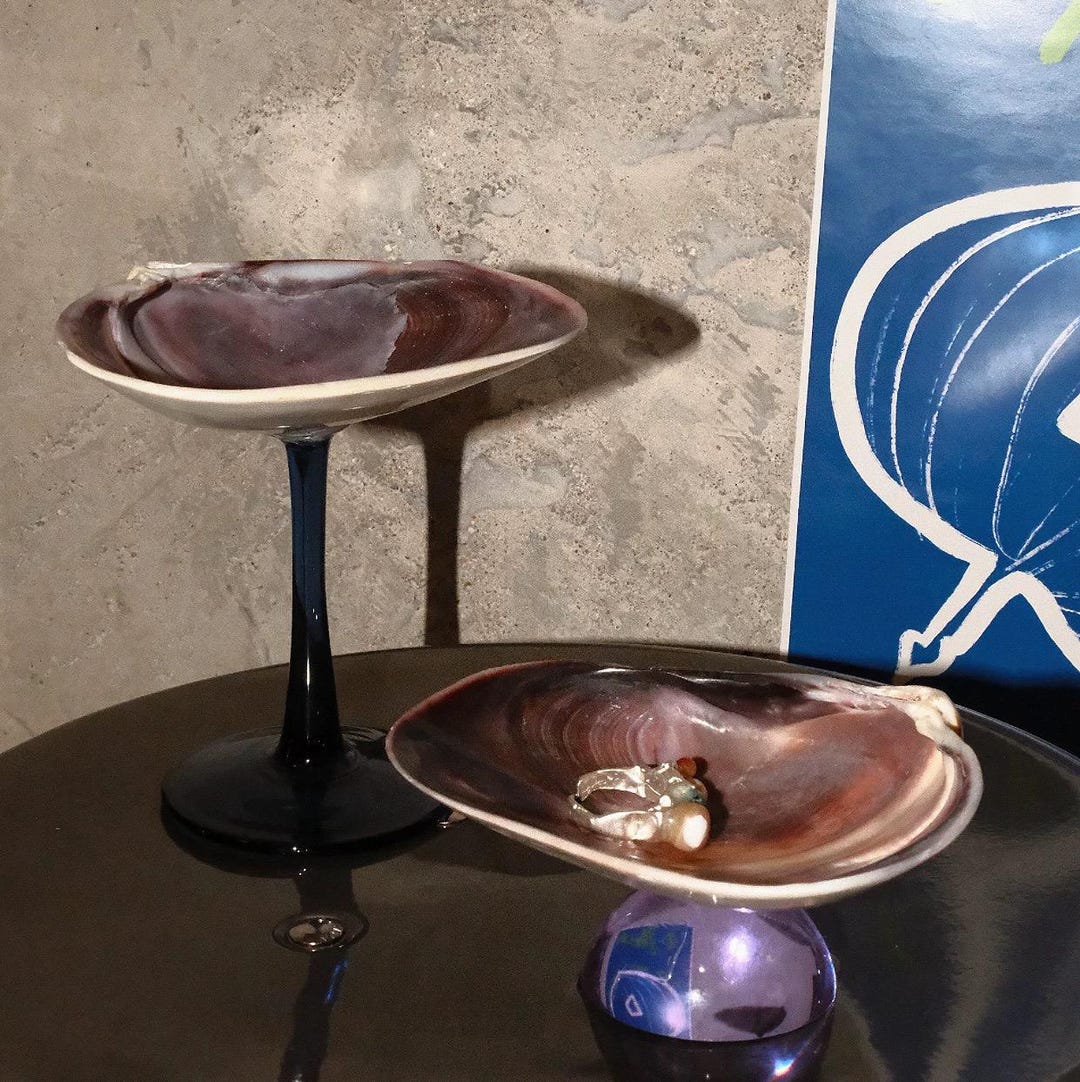 Luxe Eclipse Shell Jewellery Tray Elegant Decorative Organizer - Etsy