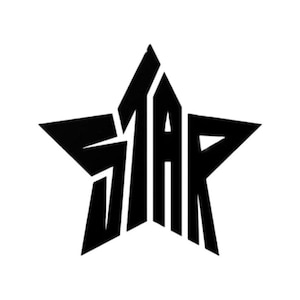 Bold Star Typography Embroidery Logo | Abstract Black Star Emblem ...