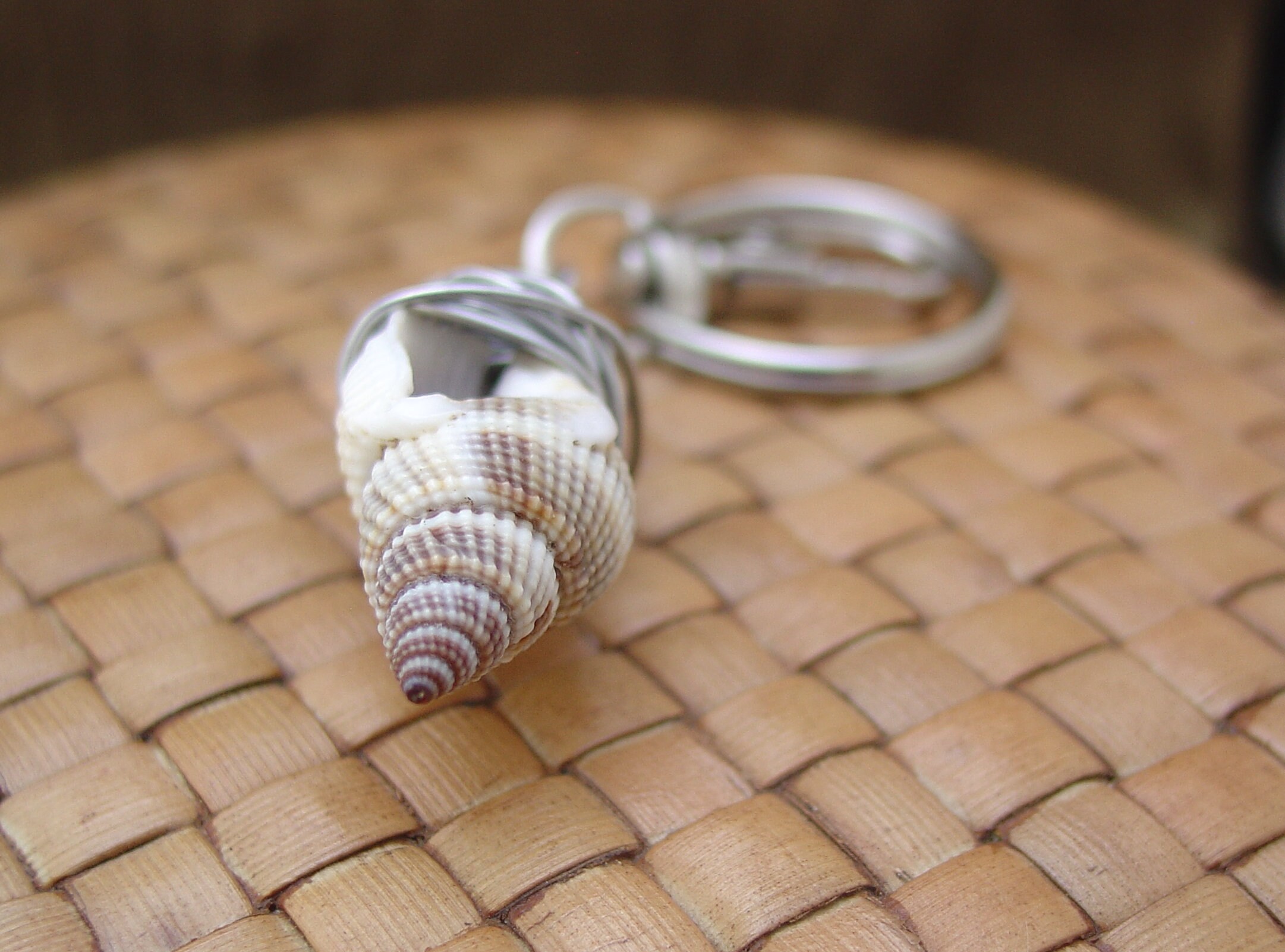 Top Wrapped Sea Shell and Wood Bead Key Chain - Etsy