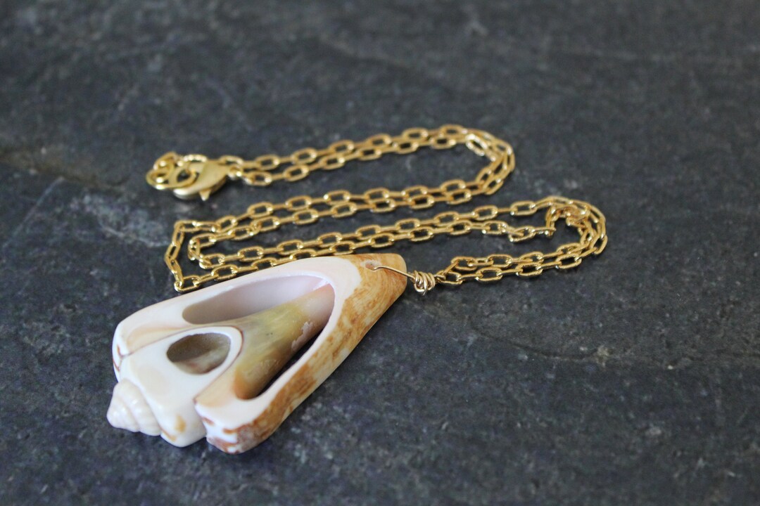 Luhuanus Shell Slice Pendant: 14k Gold Filled Paperclip Chain Necklace ...