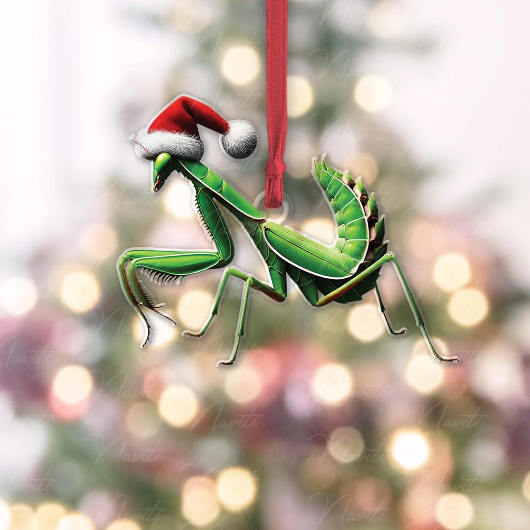 Christmas Praying Mantis 2D FLAT Ornament Decor, Mantis Mom Decor ...
