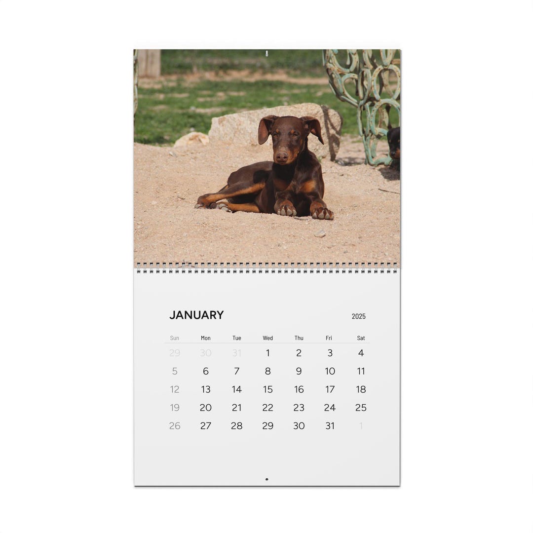 Doberman Wall Calendars 2025 - Etsy