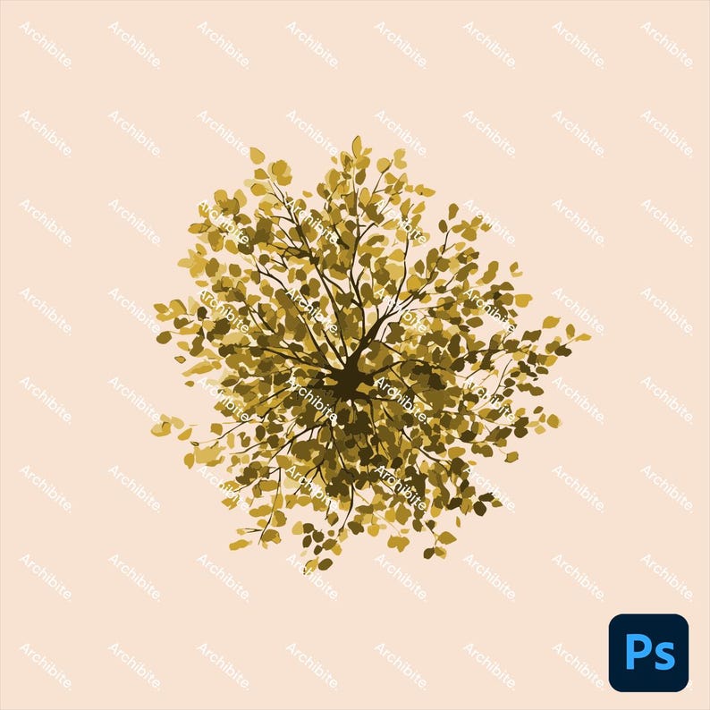 Photoshop Brushes - Watercolor Trees Plan - Etsy