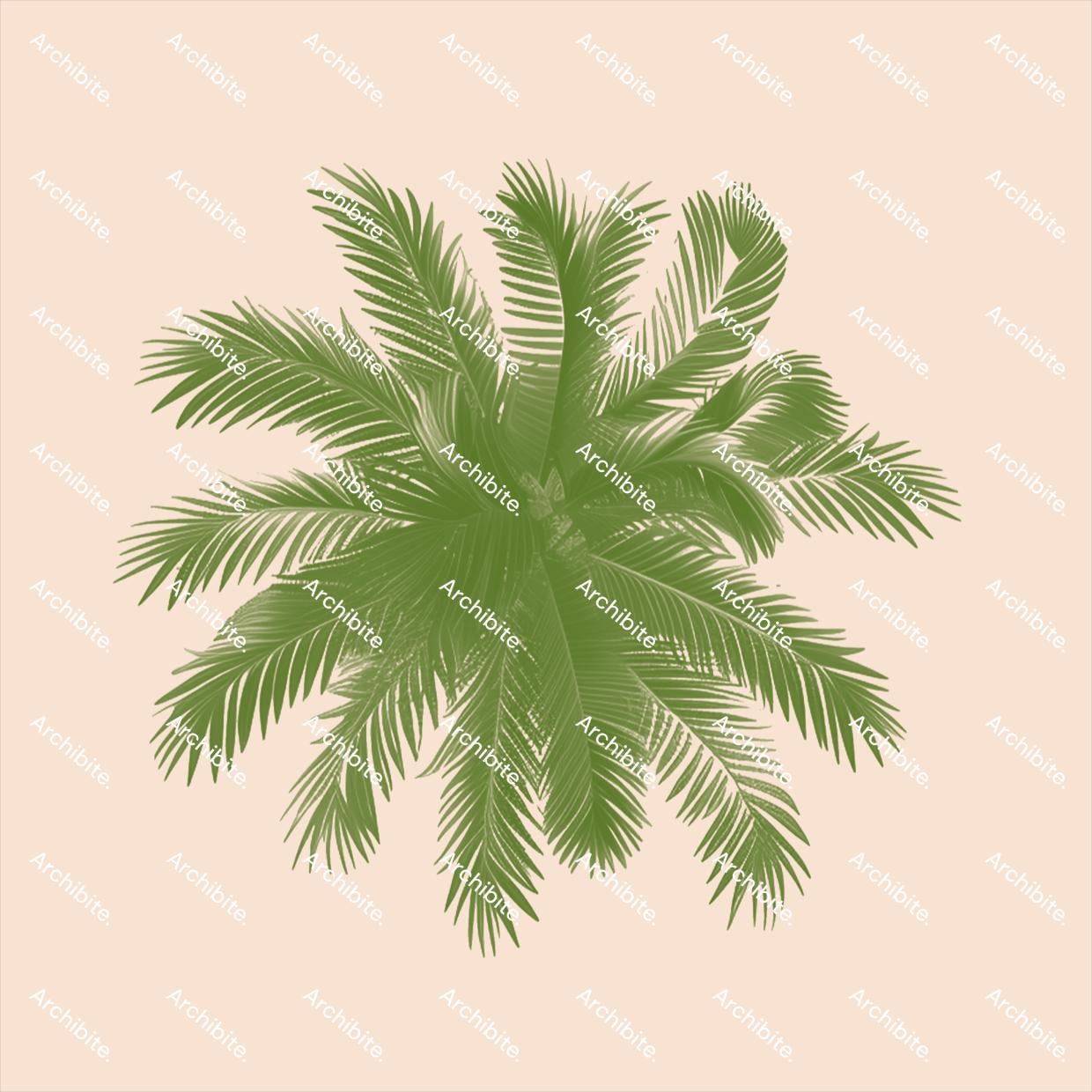 Photoshop Brushes - Palm Trees Plan - Etsy
