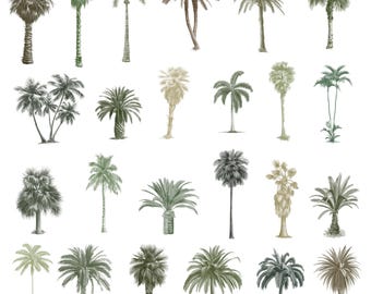 Photoshop Brushes Winter Trees Elevation - Etsy