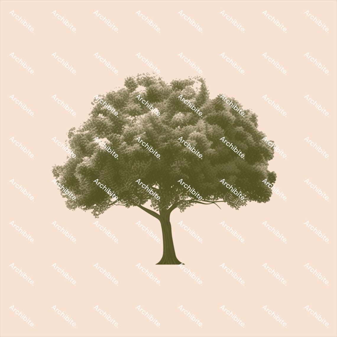 Photoshop Brushes - Summer Trees Elevation - Etsy