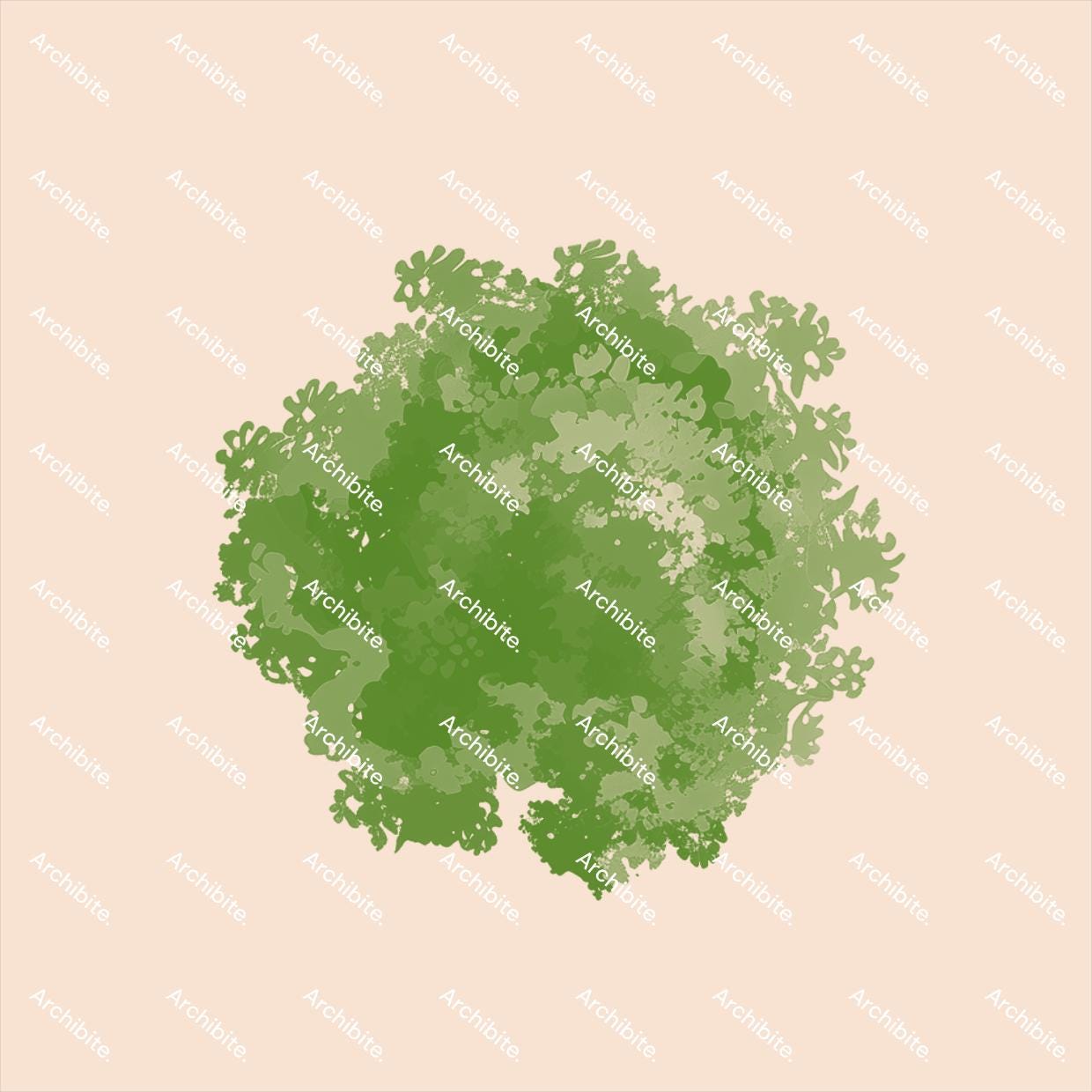 Photoshop Brushes - Summer Trees Plan - Etsy